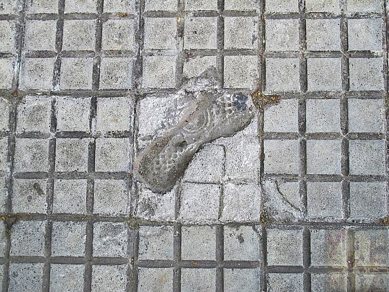Qué Pasa Si Un Perro Come Mezcla De Cemento